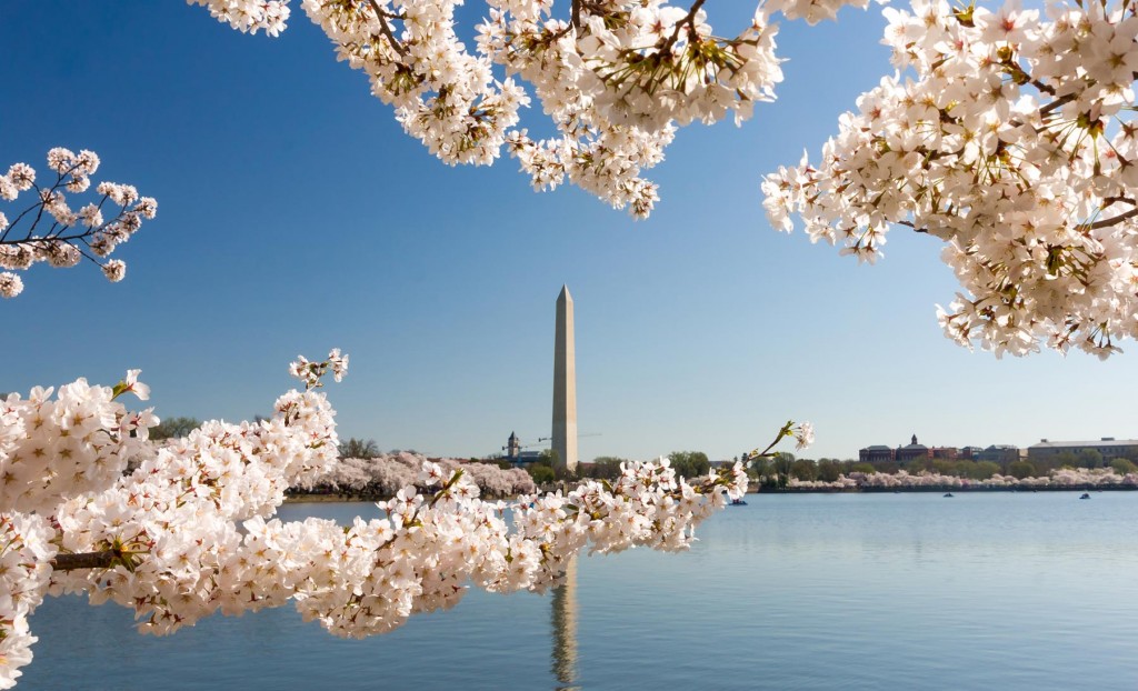 19 Exciting Spring Events You Must Experience - Wanderu