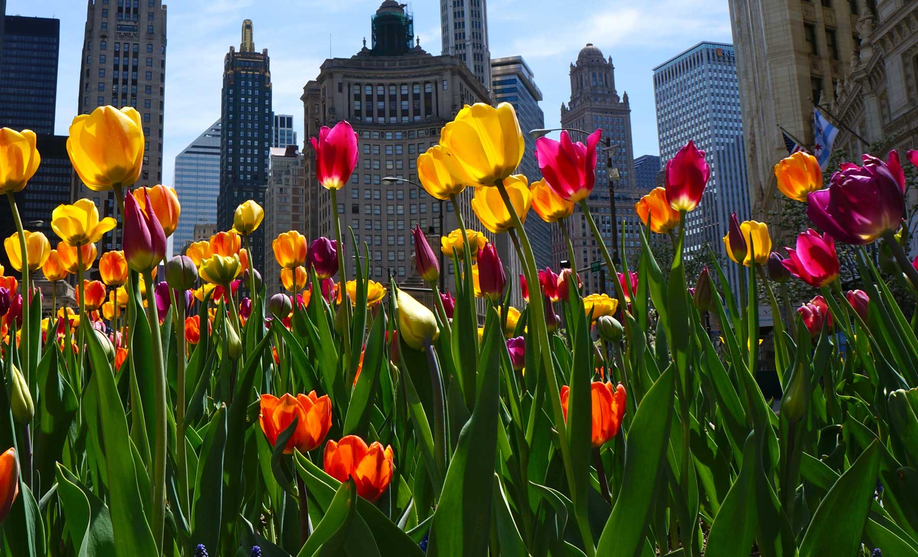 19 Exciting Spring Events You Must Experience - Wanderu