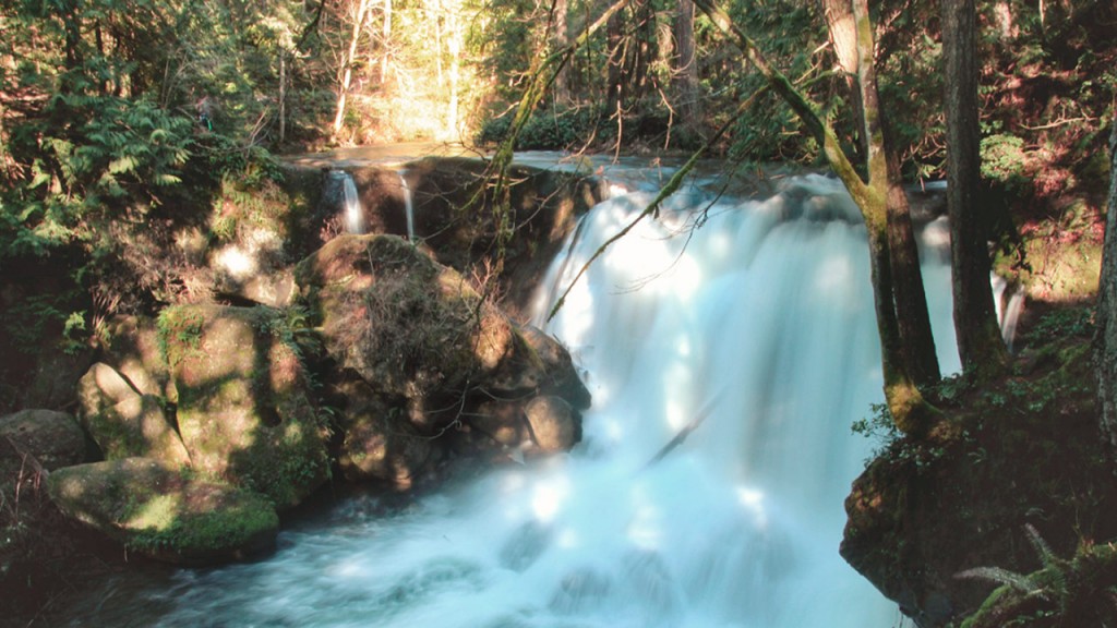 The Best Things to Do in Bellingham - Wanderu