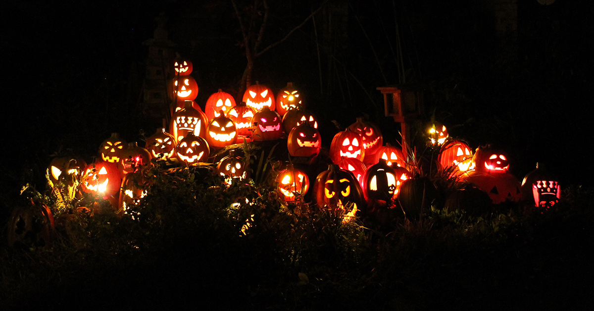 The Best Pumpkin Festivals in the U.S. - Wanderu