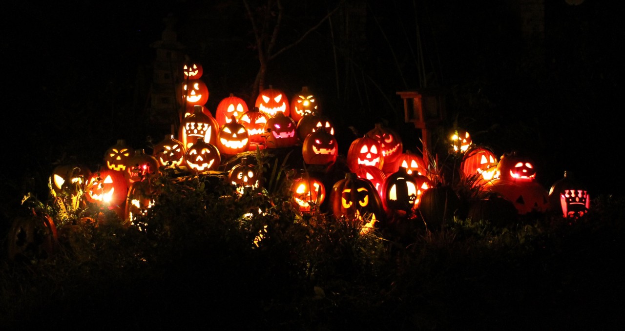 The Best Pumpkin Festivals in the U.S. - Wanderu