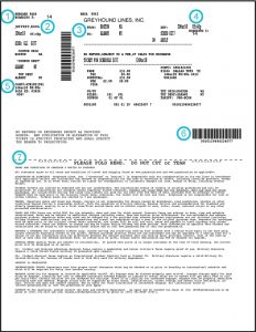 How to Read Your Greyhound Ticket - Wanderu